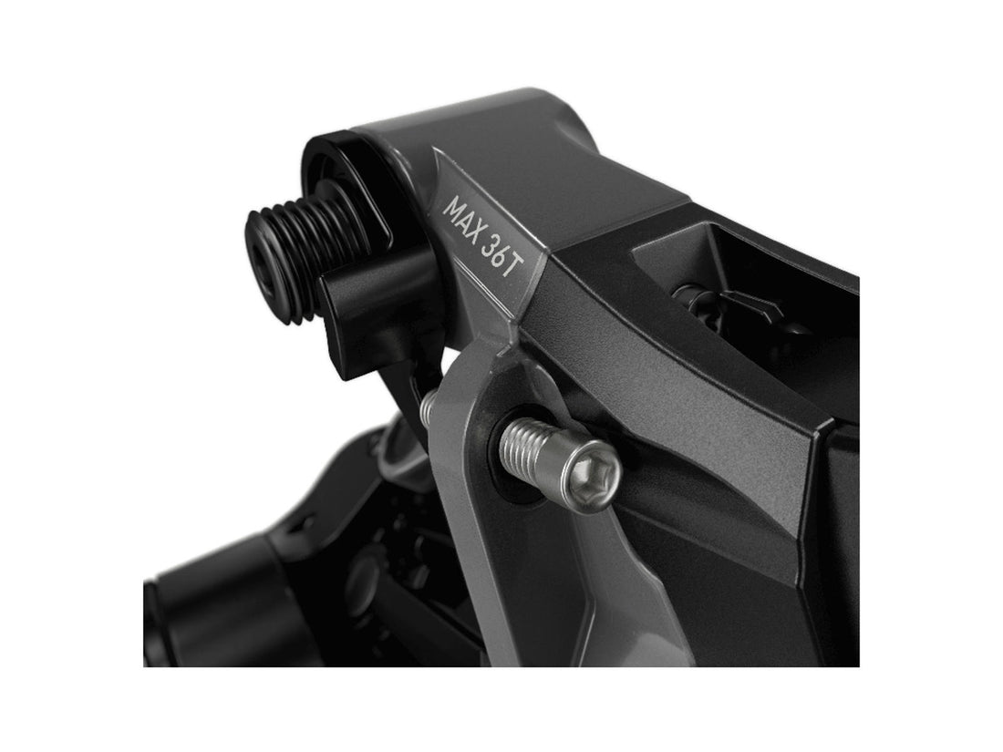 SRAM RIVAL Rear derailleur AXS D1 12 speed – Cranks & Coffee